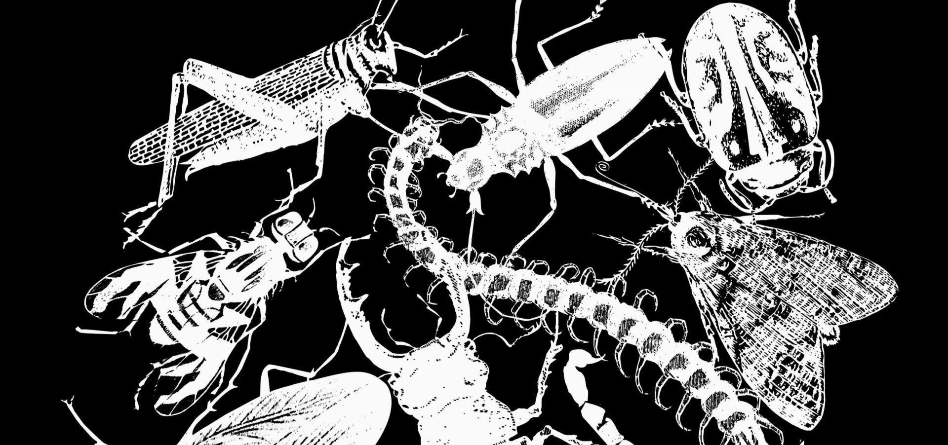 ARTE É BOM - Club Jardins