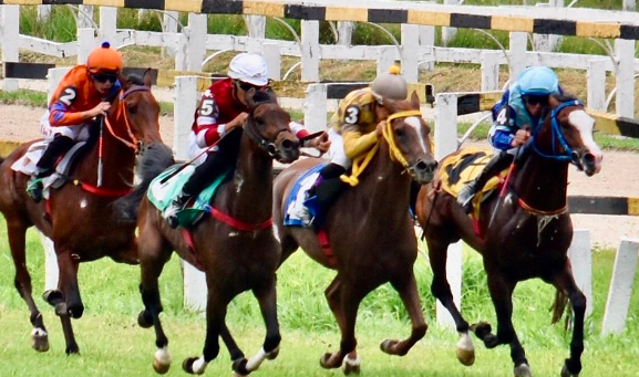 101ª Edição Do Grande Prêmio SP De Turfe Acontece Nos Dias 17, 18 e 19 ...